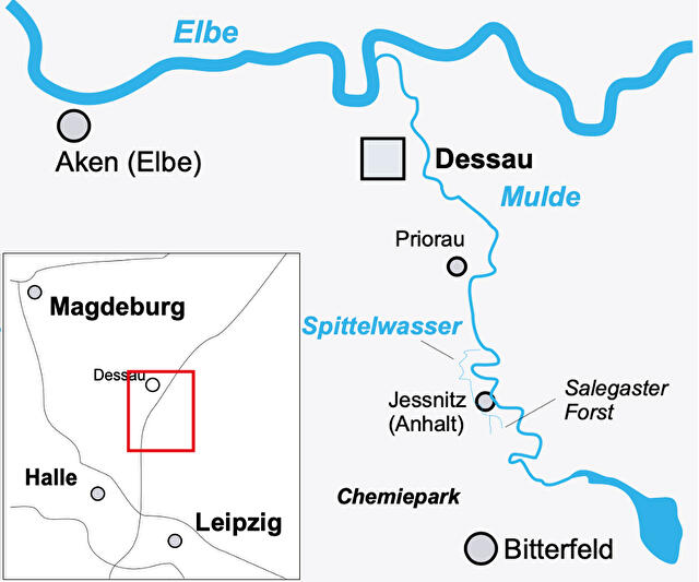 Contamination mapping - Medusa Radiometrics